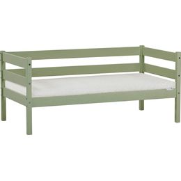 Einzelbett Hoppekids "ECO Comfort Kinderbett, Kiefer Massivholz, Jugendbett inkl. Rollrost", gr&uuml;n (blassgr&uuml;n), B:76cm H:65cm L:166cm, Kiefer massiv, Betten, 70x160 cm, wahlweise in verschieden Farben/ Matratze/ Absturzsicherung