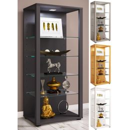Vcm Glasvitrine stehend Vitrine Glas mit ESG-Sicherheitsglas Ma&szlig;e ca. H. 115 x B. 52 x T. 35 cm Standvitrine Glas Modern und platzsparend Glas Vitrinenschrank &ndash; Glasol lll