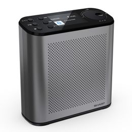 Sharp DR-P530 Osaka DAB+ Digitalradio Bluetooth Lautsprecher Wecker Dual-Alarm & Akku, grau-schwarz