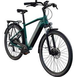 Tretwerk Onyx E Bike Trekkingrad ab 165 cm Elektrofahrrad 550 Wh Pedelec Trekking Rad Fahrrad mit 8 Gang und Beleuchtung StVZO