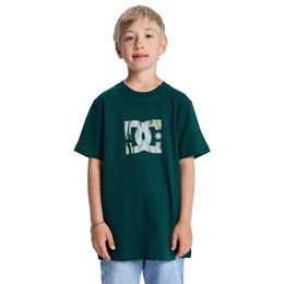 T-Shirt DC Shoes "DC Star Filled", Jungen, Gr. 16(165-172cm), gr&uuml;n (ponderosa pine), Obermaterial: 75% Baumwolle, 25% Baumwolle., Shirts T-Shirt