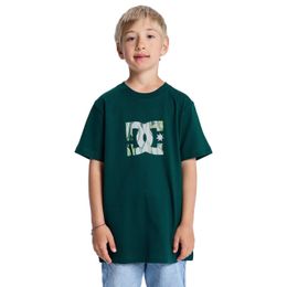 T-Shirt DC Shoes "DC Star Filled", Jungen, Gr. 12(148-156cm), gr&uuml;n (ponderosa pine), Obermaterial: 75% Baumwolle, 25% Baumwolle;, Shirts T-Shirt