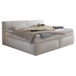 Esposa Familienboxspringbett, Silber, Kunststoff, H3 + H4, 7-Zonen, H&ouml;he ca. 18 cm, 240x200 cm, gepolstertes Kopfteil, Stoffauswahl, Topper durchgehend, Wendematratze mit unterschiedlichen H&auml;rtegraden, in verschiedenen Gr&ouml;&szlig;en erh&auml;ltlich, Partnermatratze durchgehendem Bezug, Familienbett, Schlafzimmer, Betten, Familienbetten