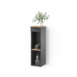 WEINREGAL Regusa Goldkraft Eiche/Anthrazit 30 x 106 cm