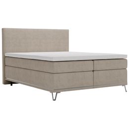 Boxspringbett Cromo Beige ca. 200x200