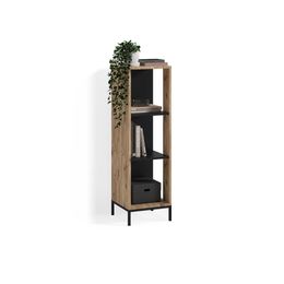 B&Uuml;CHERREGAL Aterno Viking Oak mit 3 F&auml;chern