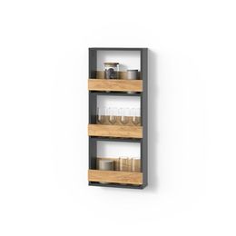 WEINGLASREGAL Regusa Goldkraft Eiche/Anthrazit 40 x 98 cm