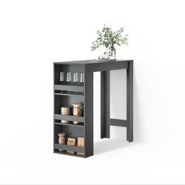 BARTISCH Regusa Anthrazit 45 x 110 cm