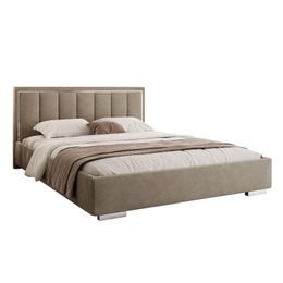 POLSTERBETT AURELIA SILVER mit Stauraum und Metallrahmen 120x200 French Velvet 656