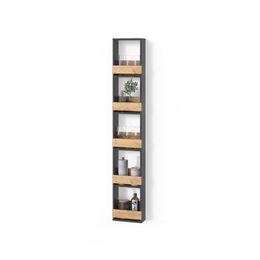WEINGLASREGAL Regusa Goldkraft Eiche/Anthrazit 30 x 180 cm