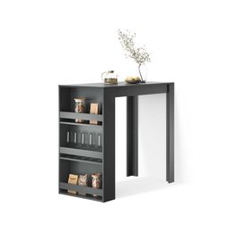 BARTISCH Regusa Anthrazit 57 x 117 cm