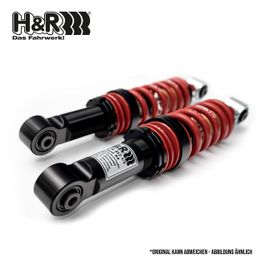 H&R Fahrwerkssatz, Federn/D&auml;mpfer 321322