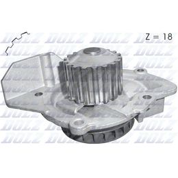 DOLZ Wasserpumpe c147 f&uuml;r Peugeot Citro&euml;n Ford Fiat TOYOTA