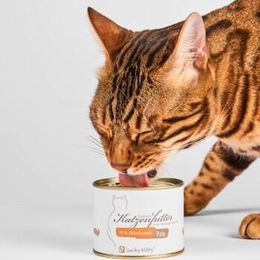 Lucky-Kitty Katzenfutter Pute 16x200 g
