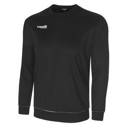 Langarmshirt CAPELLI SPORT, Herren, Gr. M, grau (dunkelgrau, wei&szlig;), Obermaterial: 95% Polyester, 5% Elasthan, unifarben, bequem h&uuml;ftbedeckend, Rundhals, angesetztes B&uuml;ndchen, Shirts Langarmshirt, mit rundem Halsausschnitt