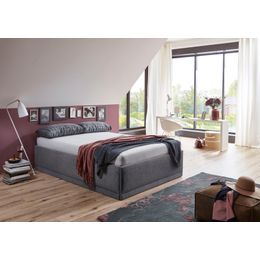 Polsterbett "Texel", grau (anthrazit), B:146cm H:34cm L:206cm, Bezug Bett: Veloursstoff 100% Polyester oder Microfaser (100% Polyester);Bonnell-Federkernmatratze: 51% Polypropylen, 39% Polyester und 10% Baumwolle;Kaltschaummatratze: 100% Polyester, Bezug abnehm- und waschbar bis 60C;Kissenbezug: 100% Polyester, F&uuml;llung : 100% Polyester (Hohlfaser), Westfalia Schlafkomfort, Betten, Polsterbett, Sta