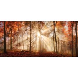 Bild B&Ouml;NNINGHOFF "HERBSTWALD XXL 90x200 cm &ndash; Leinwandbild Keilrahmen Deko modern", farbe bild(er): gelb, braun, rot, B:200cm H:90cm T:4,5cm, Canvas, MDF, Bilder, Bild