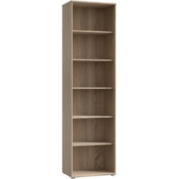 Regal FORTE "Tempra, Mehrzweckregal schmal, H&ouml;he 197,5 cm, 5 Ablageb&ouml;den", braun (sonoma eiche), B:54cm H:197,5cm T:34,8cm, Holzwerkstoff, Regale, B&uuml;cherregal Standregal, H&ouml;he ca. 197,5 cm