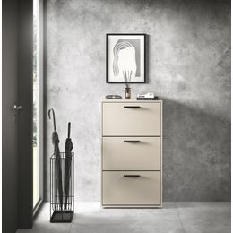 HBZ-MEBLE Schuhkipper HBZ "Sam Schuhkipper, Schuhschrank BxHxT 59x103x17 cm", beige (kaschmir), B:59cm H:103cm T:17cm, Sideboards, Breite 59cm, FSC-Mix Credit