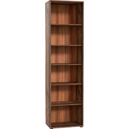 Regal FORTE "Tempra, Mehrzweckregal schmal, H&ouml;he 197,5 cm, 5 Ablageb&ouml;den", braun (old, wood vintage), B:54cm H:197,5cm T:34,8cm, Holzwerkstoff, Regale, B&uuml;cherregal Standregal, H&ouml;he ca. 197,5 cm