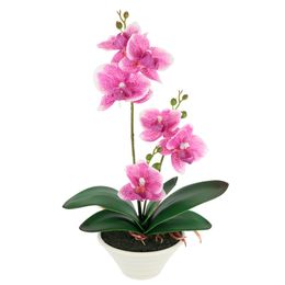 Kunstblume I.GE.A. "Kunstorchidee im Topf", dunkelrosa, B:18cm H:30cm T:12cm, Polyester, Kunstpflanzen, 30cm k&uuml;nstliche Orchidee mit Bl&uuml;ten Phalaenopsis Kunstpflanze Pflanze