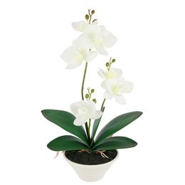 Kunstblume I.GE.A. "Kunstorchidee im Topf", wei&szlig;, B:18cm H:30cm T:12cm, Polyester, Kunstpflanzen, 30cm k&uuml;nstliche Orchidee mit Bl&uuml;ten Phalaenopsis Kunstpflanze Pflanze