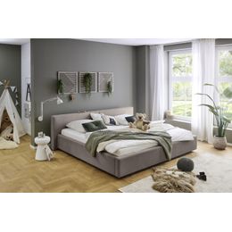 Meise M&ouml;bel Polsterbett MEISE.M&Ouml;BEL "CUBE in Cord, Familienbett 240x200cm, wahlweise mit Lattenrost", beige (taupe), B:280cm H:82cm L:227cm, Betten, Polsterbett, verschiedene Farben erh&auml;ltlich