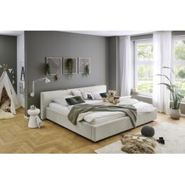Meise M&ouml;bel Polsterbett MEISE.M&Ouml;BEL "CUBE in Cord, Familienbett 240x200cm, wahlweise mit Lattenrost", beige, B:280cm H:82cm L:227cm, Betten, Polsterbett, verschiedene Farben erh&auml;ltlich