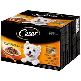 CESAR Feines im Frischebeutel Favoriten in Sauce Hunde-Nassfutter ohne Zucker 24x100g