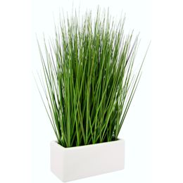 Kunstgras I.GE.A. "Gras", gr&uuml;n, B:23cm H:45cm, Kunststoff, Kunstpflanzen, in Keramikschale
