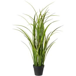 Kunstgras Creativ green, gr&uuml;n, H:90cm, Kunststoff, Kunstpflanzen