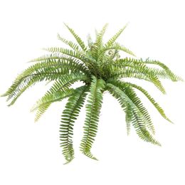 K&uuml;nstliche Zimmerpflanze BOTANIC-HAUS "Farnbusch", gr&uuml;n, B:85cm H:38cm T:85cm &Oslash;:85cm, Kunststoff, Kunstpflanzen, K&uuml;nstliche Zimmerpflanze