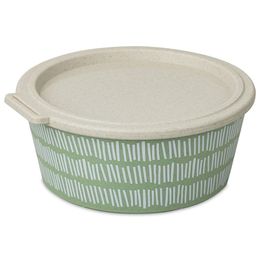 Aufbewahrungssch&uuml;ssel Koziol "BLOMSTER BOX 1,3l LINE Schale 1,3l mit Deckel", gr&uuml;n (nature leaf gr&uuml;n), B:18,8cm H:8cm, Kunststoff, Lebensmittelaufbewahrungsbeh&auml;lter
