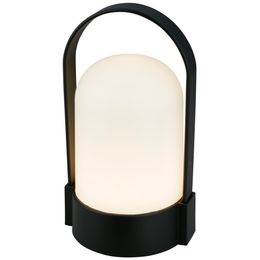 Briloner Leuchten LED Au&szlig;en-Tischleuchte "ASA 7544015", matt, schwarz, Leuchten
