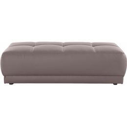 Hocker DOMO collection "Ava Bankhocker mit Federkernunterfederung, B/T 150/67cm", braun (schlamm), B:150cm H:44cm T:67cm, Struktur (100% Polyester);Microfaser PRIMABELLE (100% Polyester);Kunstleder SOFTLUX;Struktur fein (100% Polyester), Hocker, Polsterhocker