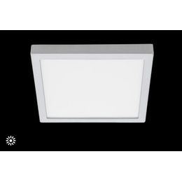 Briloner Leuchten Aufbauleuchte "FIRE", silber, Leuchten