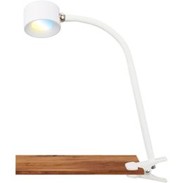 Briloner Leuchten Klemmleuchte "Tari Klemmleuchte", wei&szlig;, Leuchten, Klemmleuchte