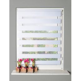 Doppelrollo Home Wohnideen "STRIPES" Gr. 1, wei&szlig;, B:40cm H:150cm, Polyester, Rollos
