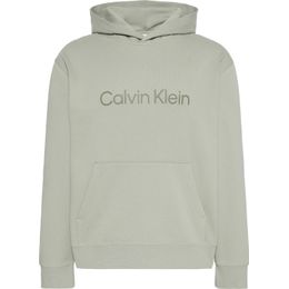 Kapuzensweatshirt Calvin Klein "LS EU STANDARD LOGO 350TERRY PO", Herren, Gr. L, shadow, Web, Obermaterial: 100% Baumwolle, regular fit normal, Rundhals, eingesetzt B&uuml;ndchen, Sweatshirts, Mit Rundhalsausschnitt, regular fit
