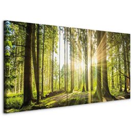 Artgeist Leinwandbild Sunlight Gr&uuml;n ca. 200x80cm