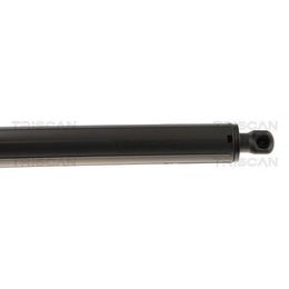 TRISCAN Gasfeder, Koffer-/Laderaum 871029327 f&uuml;r CUPRA
