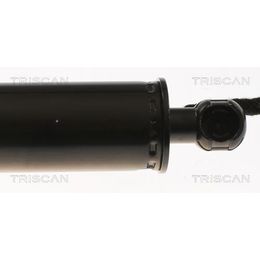 TRISCAN Gasfeder, Koffer-/Laderaum 871011356 f&uuml;r BMW