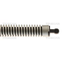 TRISCAN Gasfeder, Koffer-/Laderaum 871011357 f&uuml;r BMW