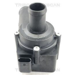 TRISCAN Zusatzwasserpumpe, Turbolader 860029079 f&uuml;r VW Porsche