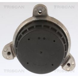 TRISCAN Lagerung, Motor 850511118 f&uuml;r BMW