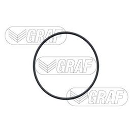 Graf Wasserpumpe pa683 f&uuml;r Peugeot