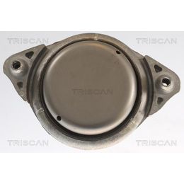 TRISCAN Lagerung, Motor 850523108 f&uuml;r Mercedes