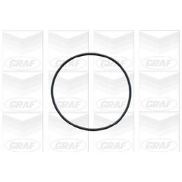 Graf Wasserpumpe pa572 f&uuml;r Opel Vaughall DAEWOO Suzuki