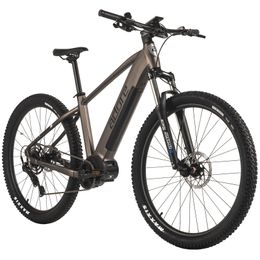 Adore Adore E-Mountainbike Hardtail 29" GX-750 Mittelmotor 130NM / 15Ah Platingrau