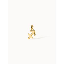 PURELEI Sch&uuml;tze Zodiac Charm